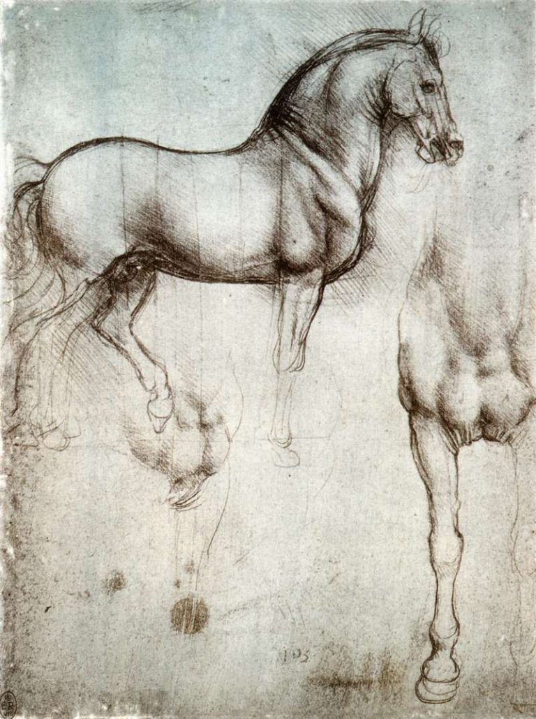 Cheval Lonard De Vinci